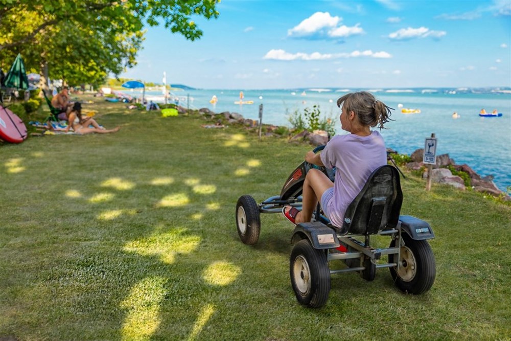 DAEN - Detail článku